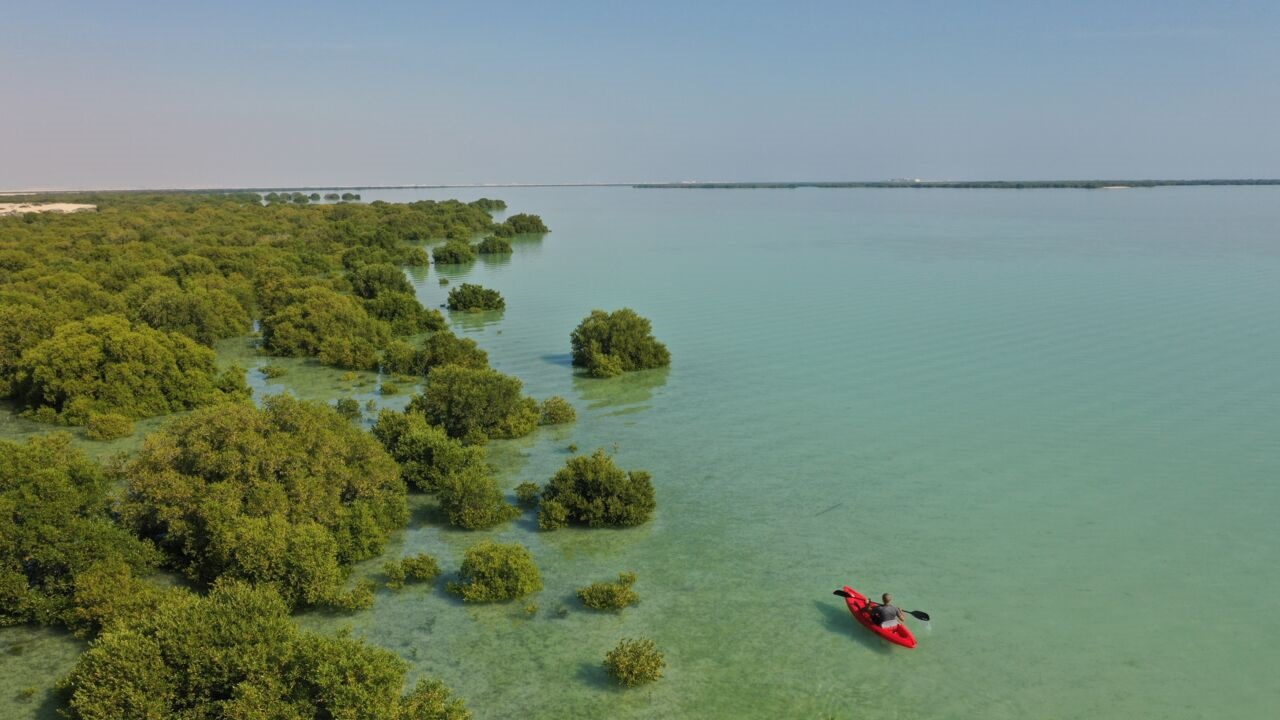 Al Dhakira Beach: A Hidden Gem in Qatar's Tourism Landscape - مدونة سكن قطر